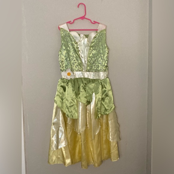 Costumes | The Princess And The Frog Dress | Poshmark